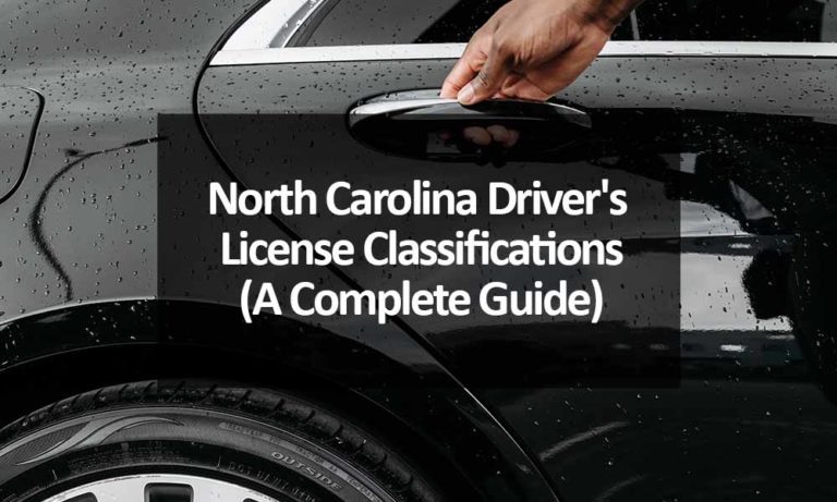 License Classifications Archives - Driving School Express